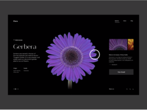 The Best Examples of Effective Web Design Presentation - Inkyy